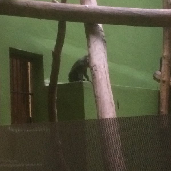Photos at Vlindertuin - Zoo Exhibit in Antwerpen