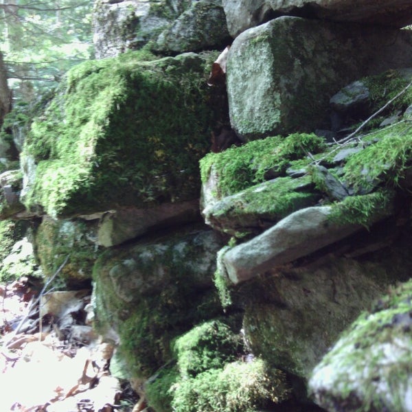 Emma Treadwell Thacher Nature Center - 1 tip from 56 visitors