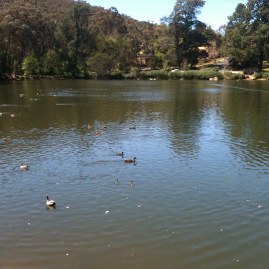 Lake Alexandra - Lake