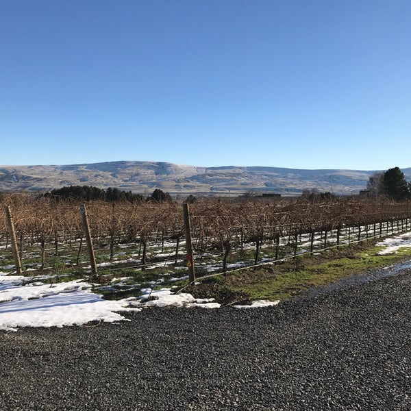 Canyon Ranch Vineyard - Vineyard in Prosser