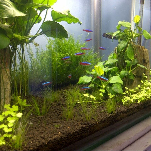 Cipadu - Neighborhood in South Tangerang