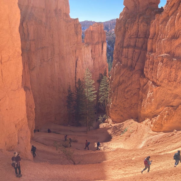 Navajo Loop Trail - 5 tips