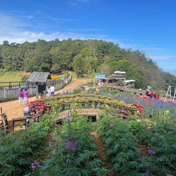 ม่อนแจ่ม (Mon Cham) - 153 tips from 17495 visitors