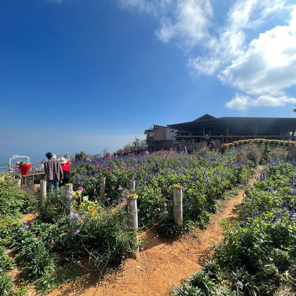 ม่อนแจ่ม (Mon Cham) - 153 tips from 17495 visitors