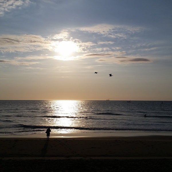 Photos at 1st Street Jetty - Surf Spot in Virginia Beach