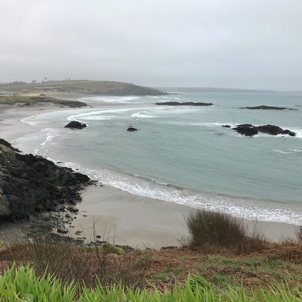 The Warren Strand - 61 visitors