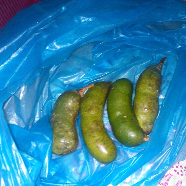 Pusat Pemulihan Penagihan Narkotik (Puspen Muar) - Structure