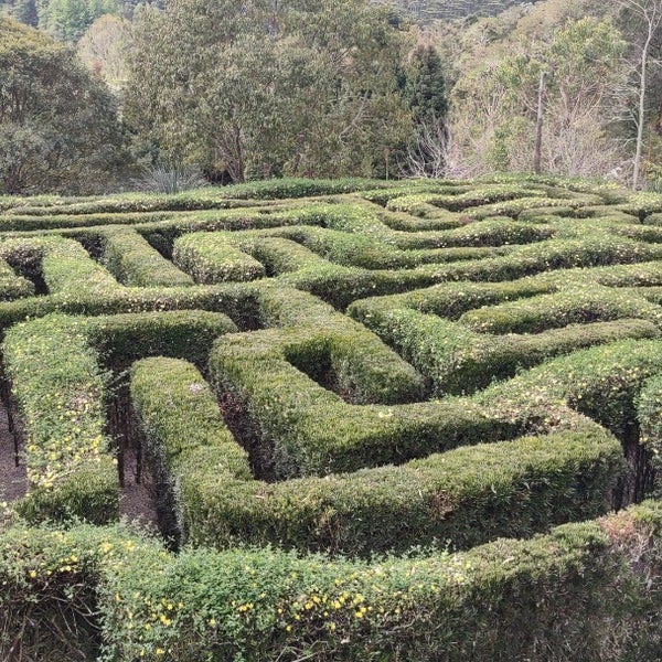 Labirinto Clássico - Amantikir