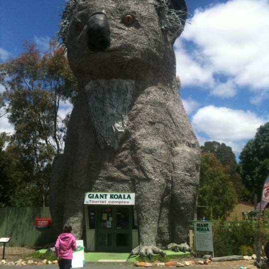 The Giant Koala - 3 tips from 328 visitors
