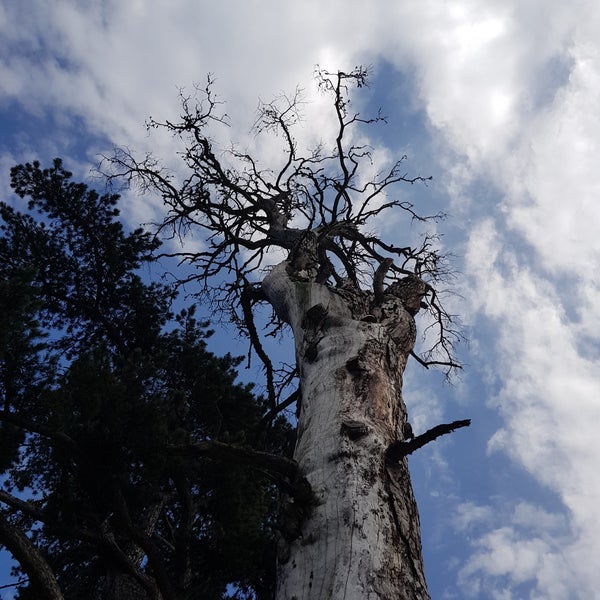Photos at Esentepe Uzman Restaurant - Gerede, Bolu