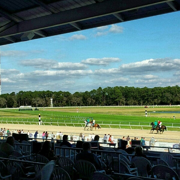Photos at Tampa Bay Downs - Racetrack