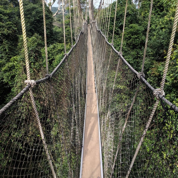 Kakum National Park Canopy Walk - 5 tips from 134 visitors