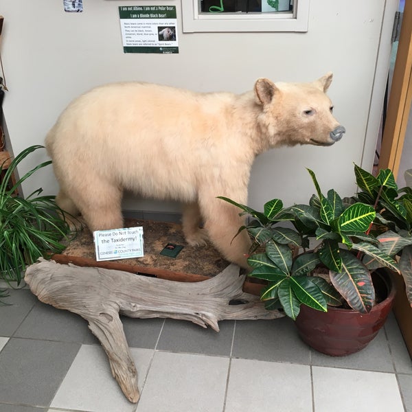 ForMar Nature Preserve & Arboretum - Park in Burton