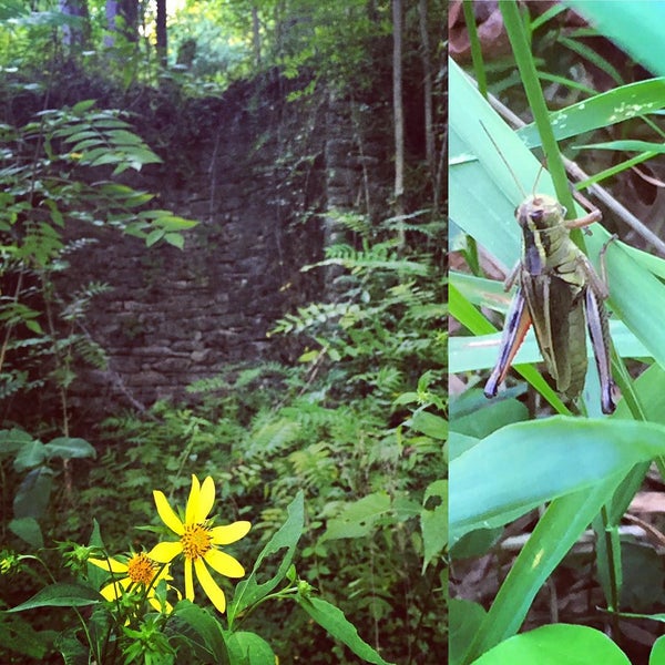 Photos at Torrey C. Brown Rail Trail (NCR Trail) - Trail in Cockeysville
