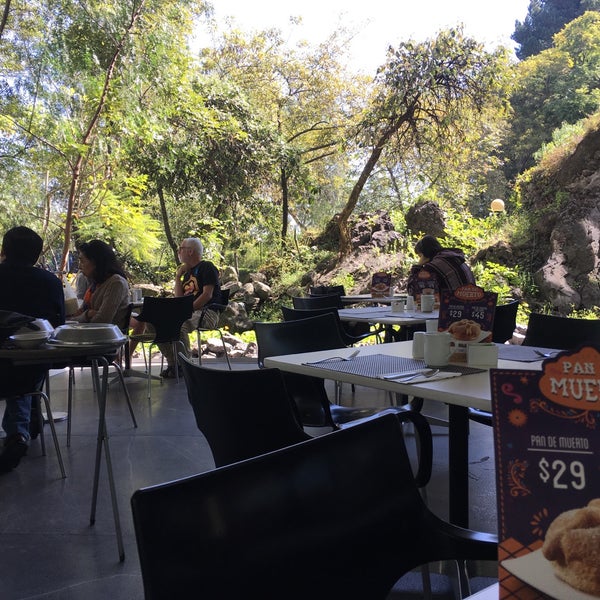 Cafetería MUAC - Circuito Universitari