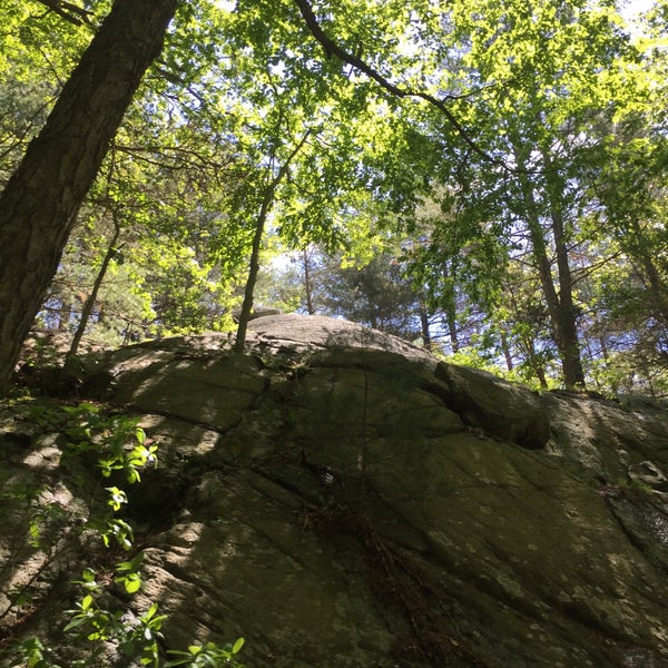 Photos at Breakheart Reservation - Park