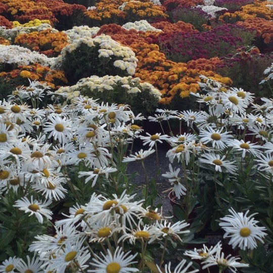 Photos at Kane's Flower World - Rt 114