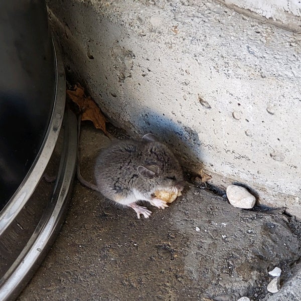 The Shops at Waterloo Town Square - Waterloo, ON