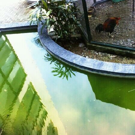 Gedung direktorat PPNS ITS - College Auditorium