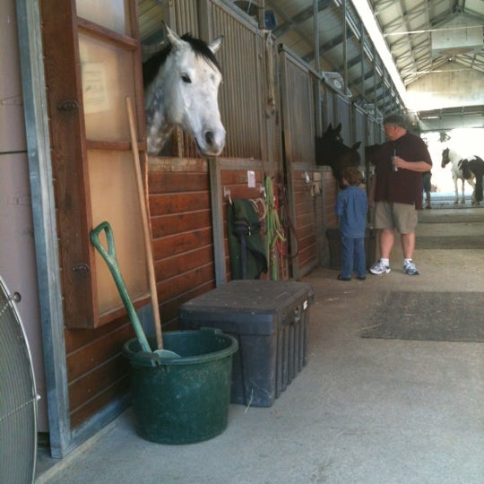 Windmill Stables Of Spring Park - Farm
