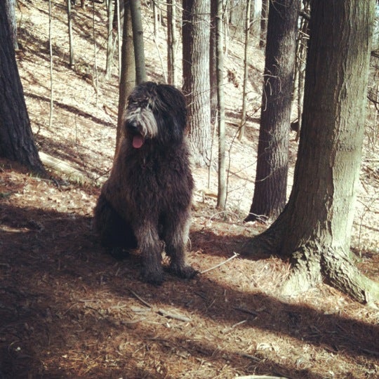 Apps' Mill Nature Centre - Hiking Trail in Brantford