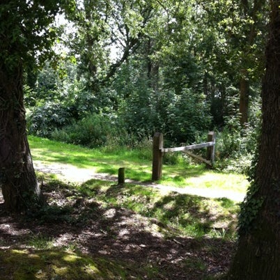 Parkhurst Forest - Hiking Trail in Newport