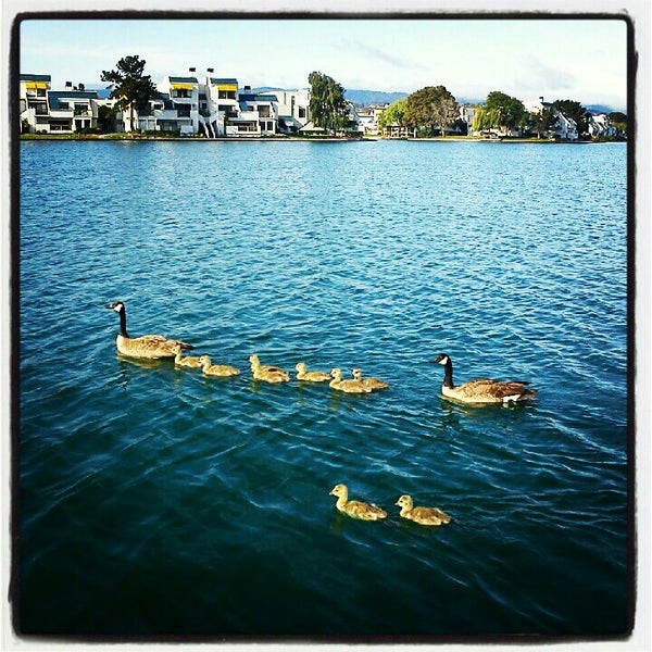 Leo J Ryan Lake - 650 Shell Blvd