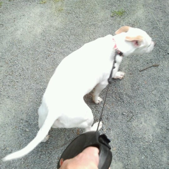 People For Puget Sound: Codiga Park - Other Great Outdoors in Tukwila