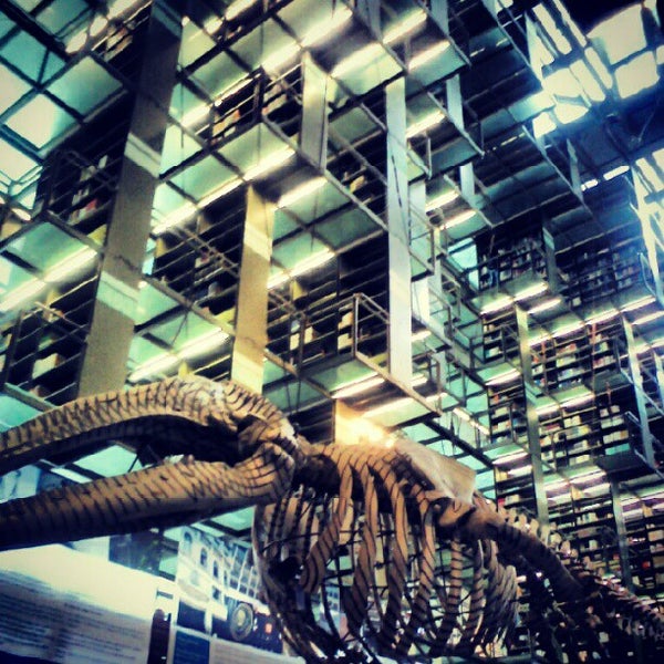 Biblioteca Vasconcelos - Library in Cuauhtémoc