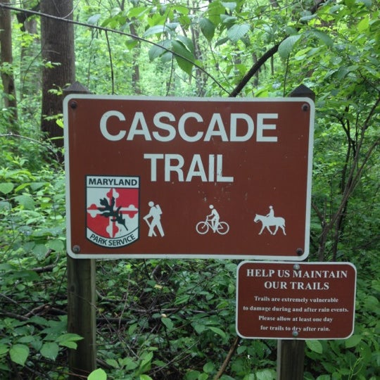 Patapsco State Park - Cascade Falls Trailhead - Trail