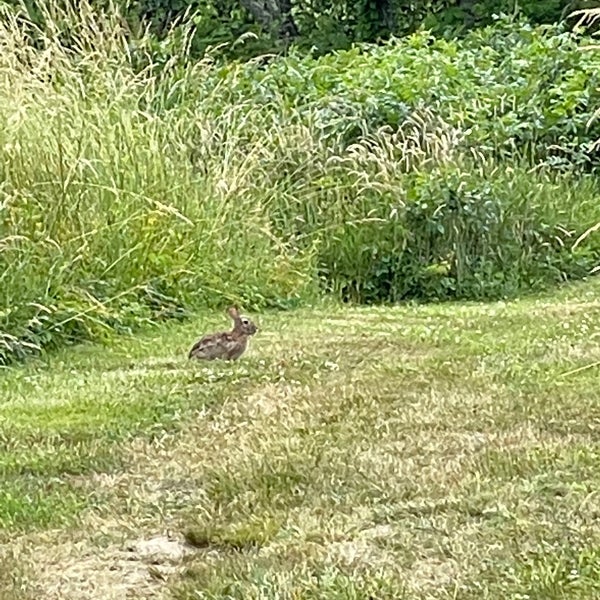 Photos at Haley Farm State Park - State / Provincial Park