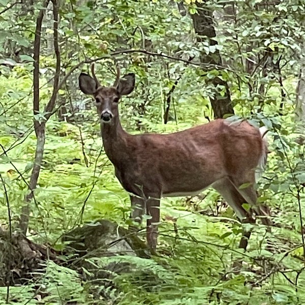 Haley Farm State Park - State or Provincial Park