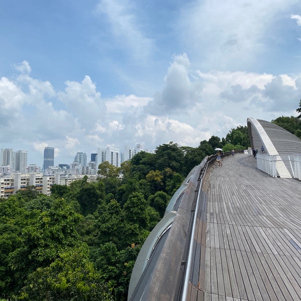 Henderson Waves - Henderson Rd