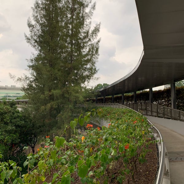 College Link (NUS UTown Bridge) - Central Region - 225 visitors