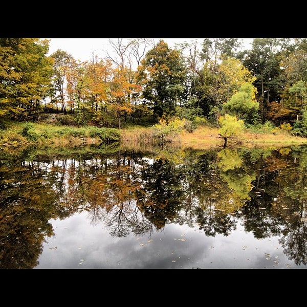 Hilltop Hanover Farm - 2 tips