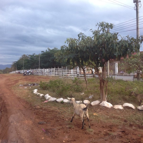 Champasak University - University