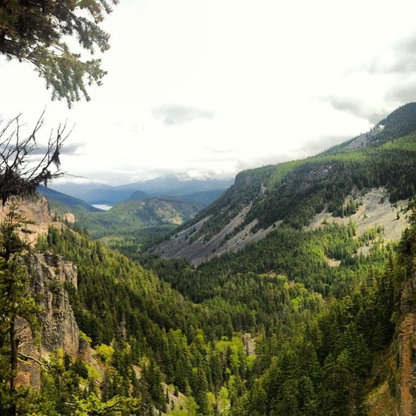 White Pass - Road in Naches