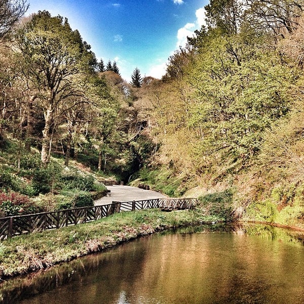 Scotland | Alba - Country in Old Town