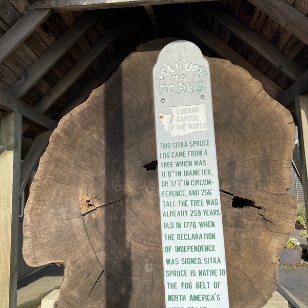 Native to Twilight - 10 Forks Ave