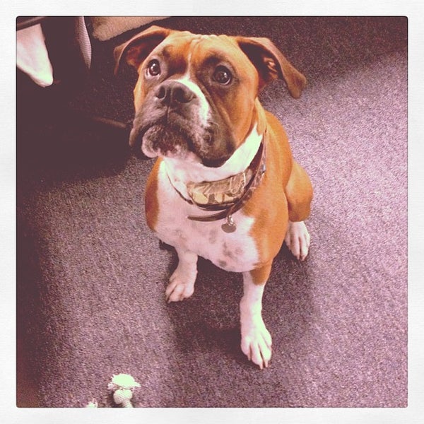 SmartPak Equine - Office in Plymouth