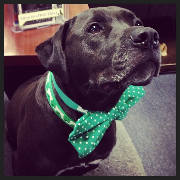 SmartPak Equine - Office in Plymouth