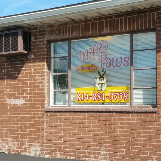 Wizard of Paws - 2 tips