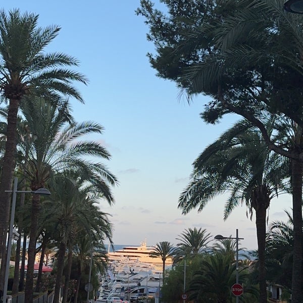 Portals Nous - Neighborhood