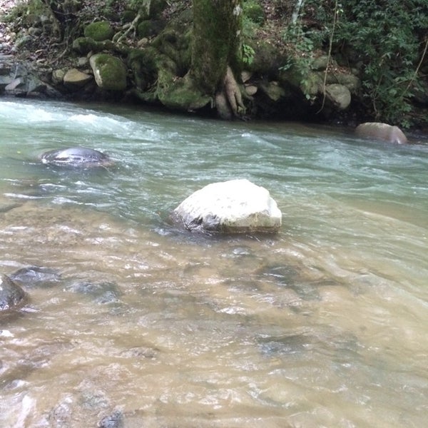 Río Guacimal - 1 tip