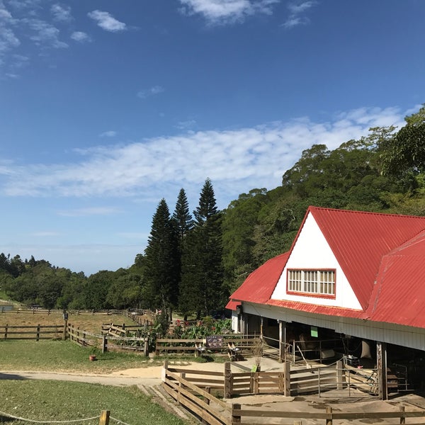 Photos at 飛牛牧場 FlyingCow Ranch - Farm in 苗栗縣
