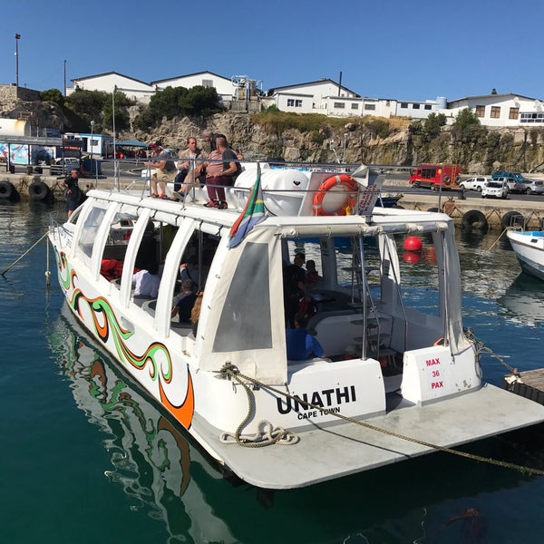 Southern Right Charters whale watching - 6 tips from 87 visitors