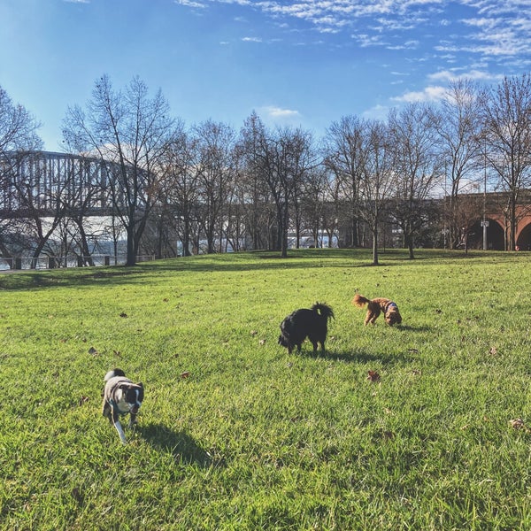 Sawyer Point Park - Central Business District - Cincinnati, OH