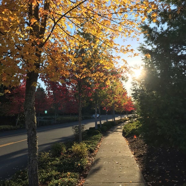 Redmond Ridge Park - Park in Redmond