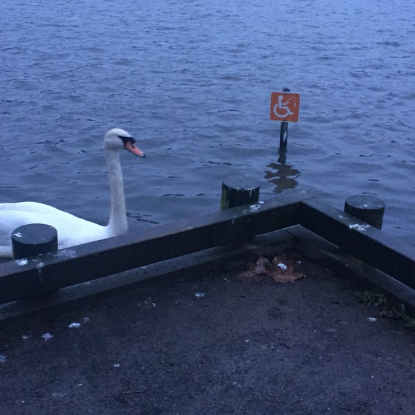 Fendrod Lake - Llansamlet, Swansea, City and County of Swansea - 3 tips