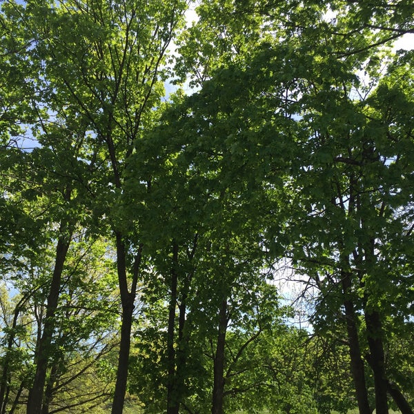 Malcolm X Park - Roxbury - Boston, MA